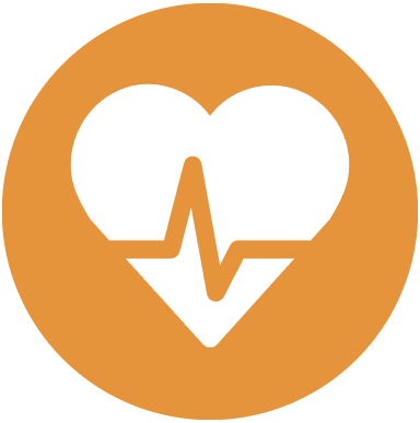 Services – Rook Insurance